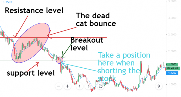 Dead Cat Bounce Definition - Estradinglife